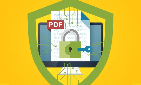 How to prevent users from removing PDF security - Locklizard